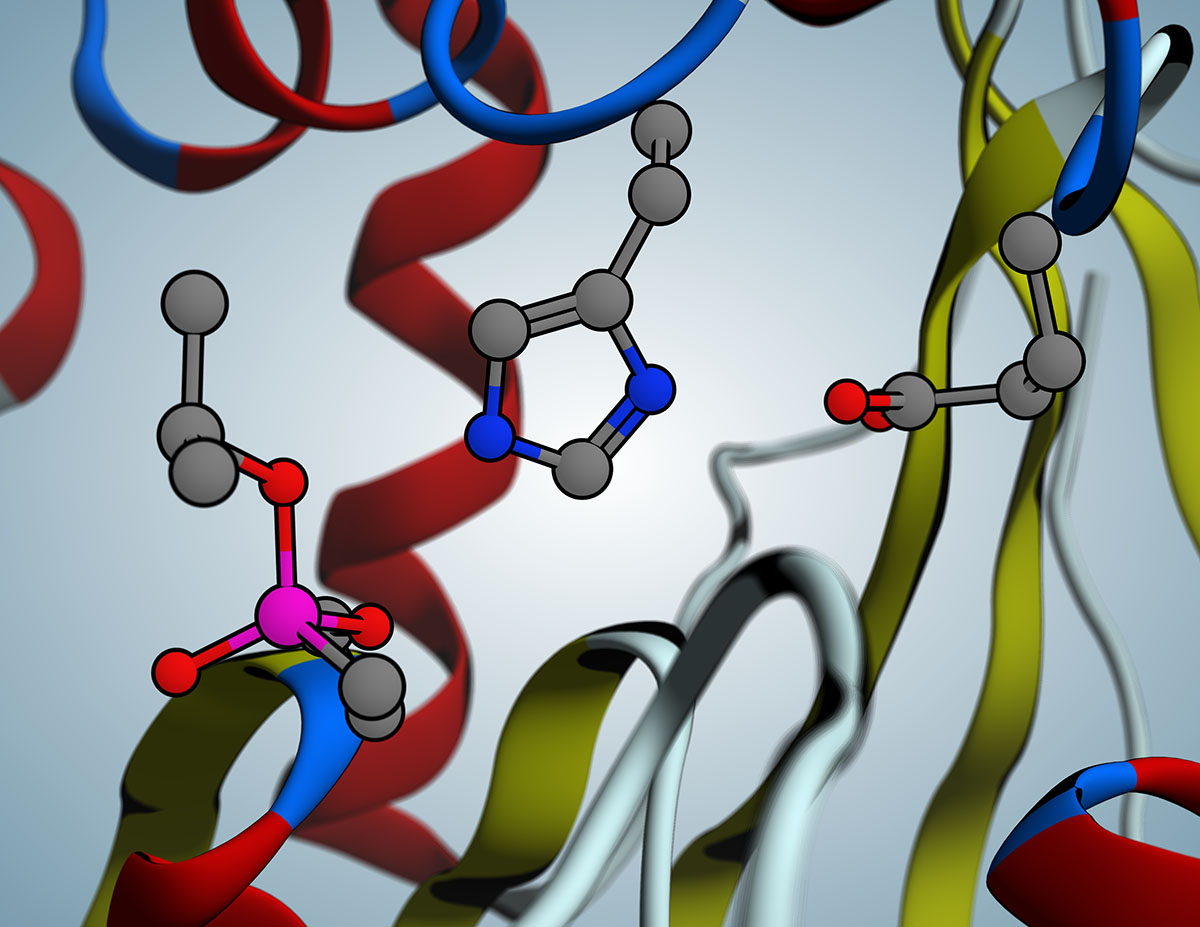 Classroom Learning | Ohio Supercomputer Center